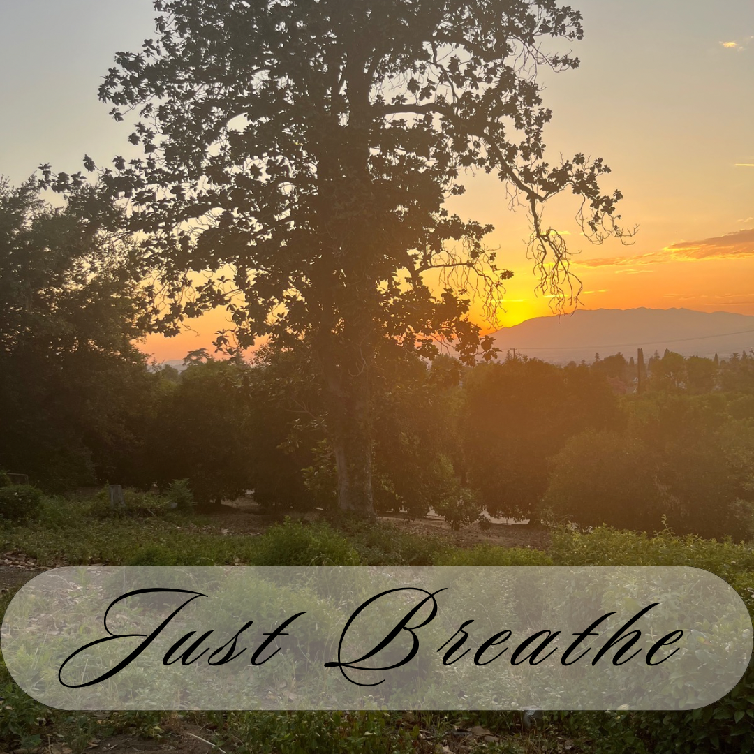 Just Breathe – Cindy Powell